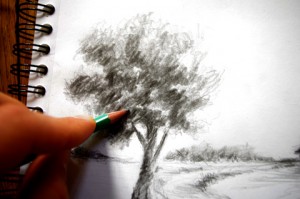 DESSINER UN PAYSAGE SUR LE VIF PAS À PAS