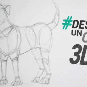 Apprendre à dessiner des animaux : comment dessiner étape par étape ...
